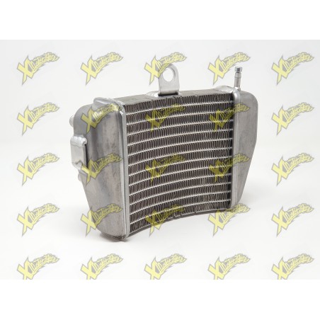 Curved racing radiator DM