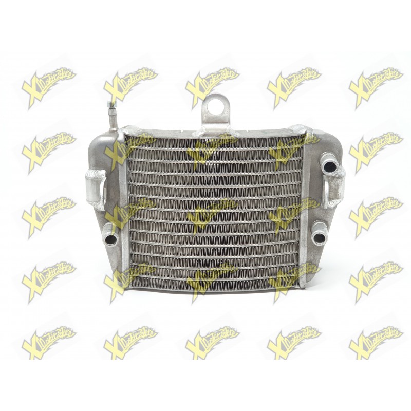 Curved racing radiator DM