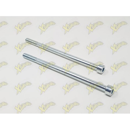 Perno supporto motore superiore pezzi 2 Dm