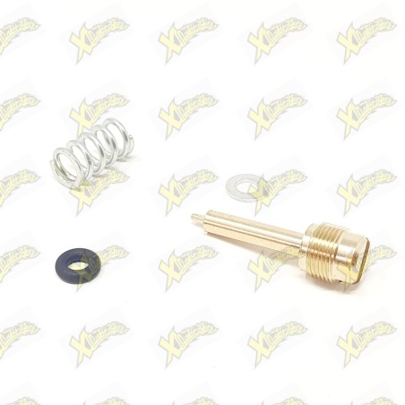 Idle mixture adjustment screw kit Phbg 53024 78