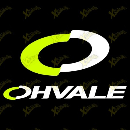 Mupo Ohvale Gp-2 fork overhaul kit 03.FA.0117.L