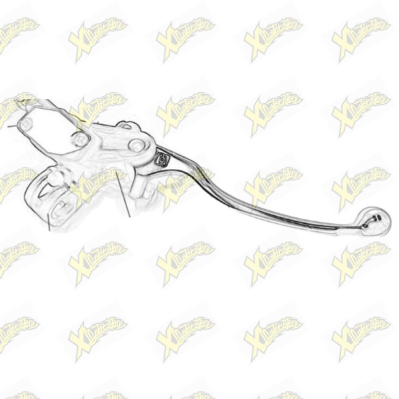 Ohvale piston kit (Ø11) from 2022 03.IF.0071.L