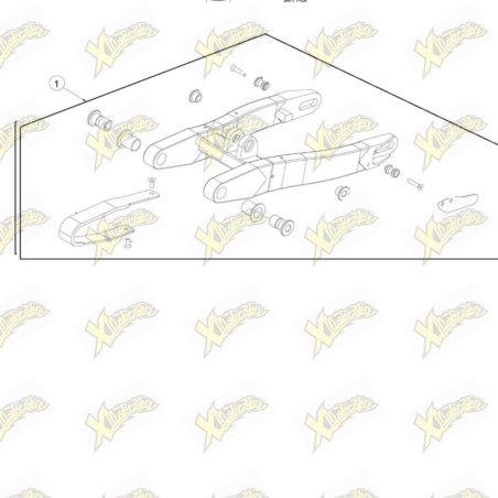Ohvale Complete swingarm Gp2 03.FO.0010.L