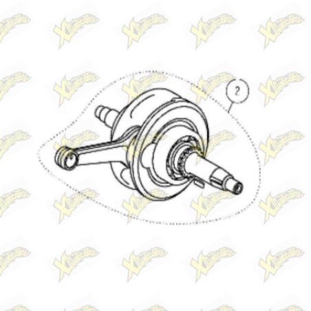 Albero motore Daytona 4S Ohvale 190/212 01.SD.0303.L