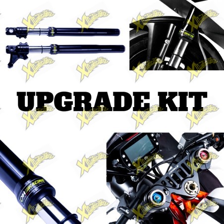 Ohracing fork upgrade kit for Ohvale Gp-2 03.FA.0310.L