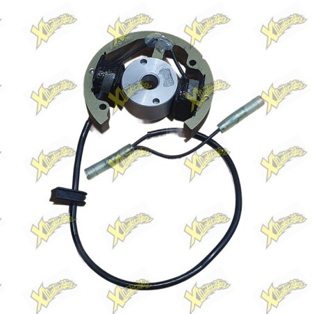Flywheel rotor and stator plate Reverse Polini 143.555.003