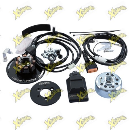 Digital ignition Polini for race with light output for Minarelli ...